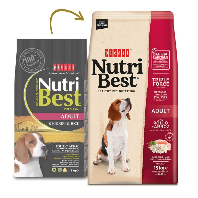Ração para cães adultos Picart Nutribest Adulto Frango e Arroz com ...